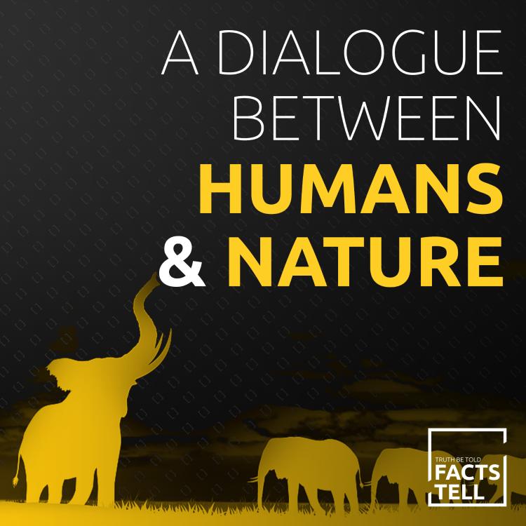 Elephants' adventure: A meaningful dialogue between humans and nature ...