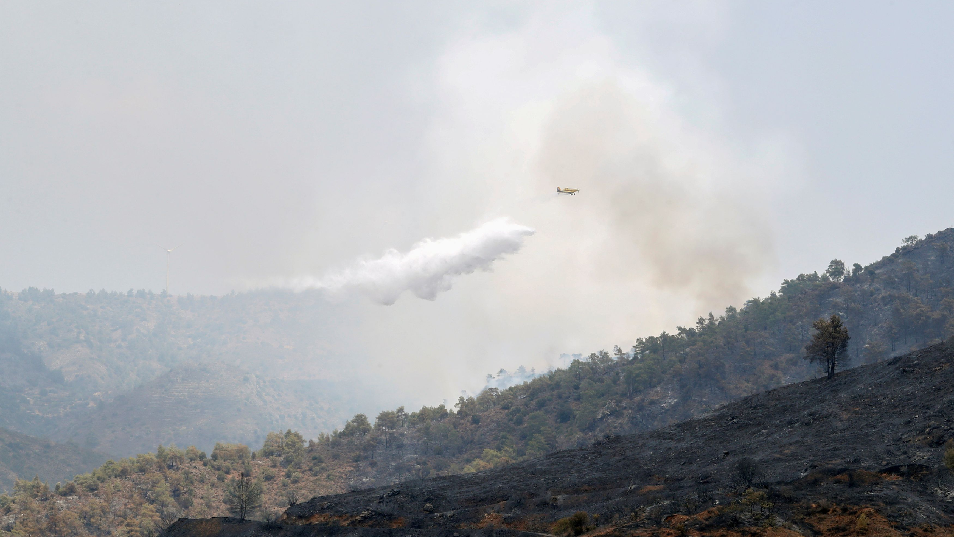 Forest fire in Cyprus 'under full control': Forestry department - CGTN