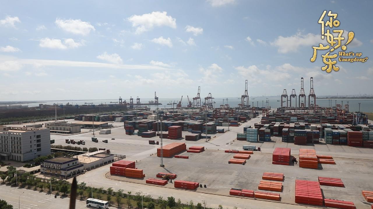 Zhanjiang Port: China's first self-designed modern deep-water harbor - CGTN