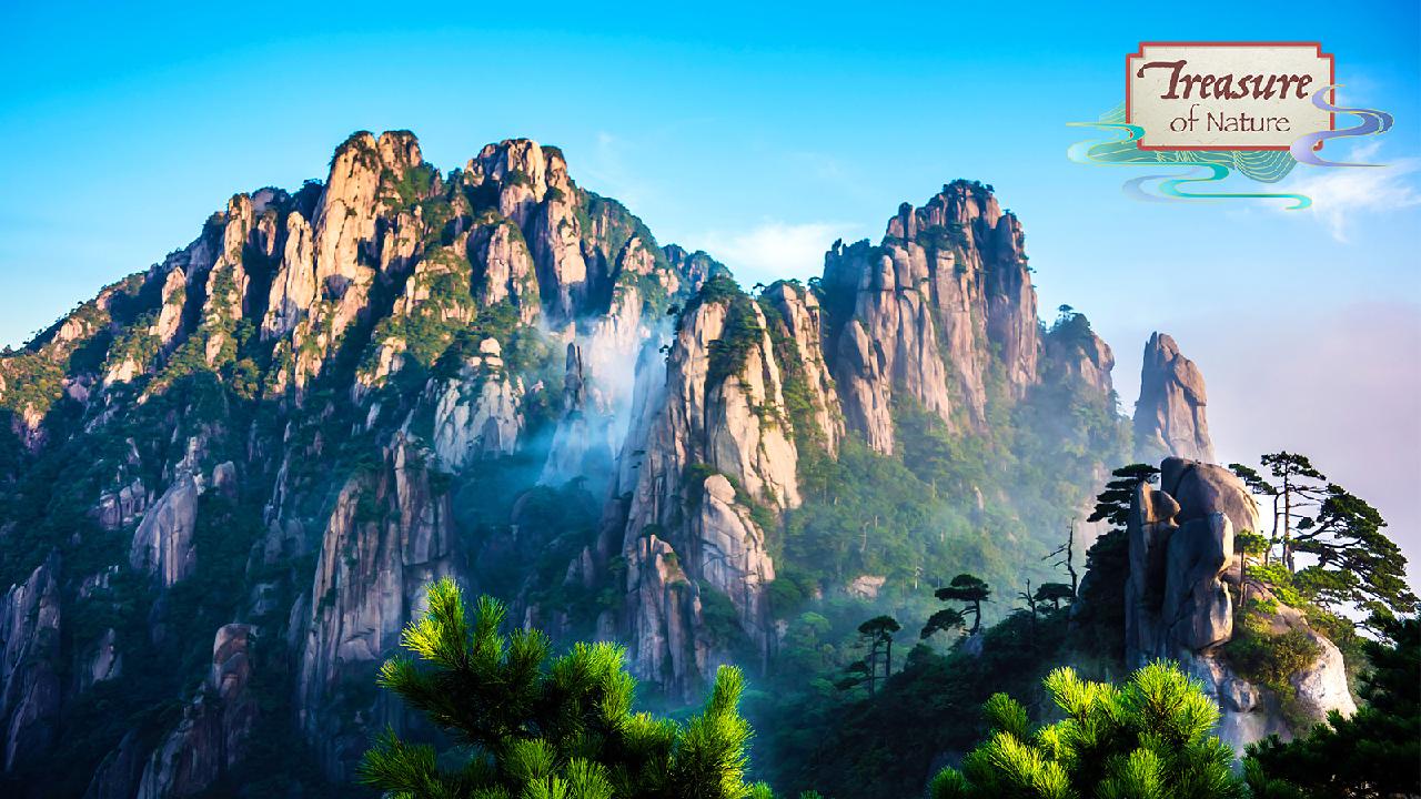 Treasure of Nature: Giant park with peculiar-shaped peaks and pillars ...