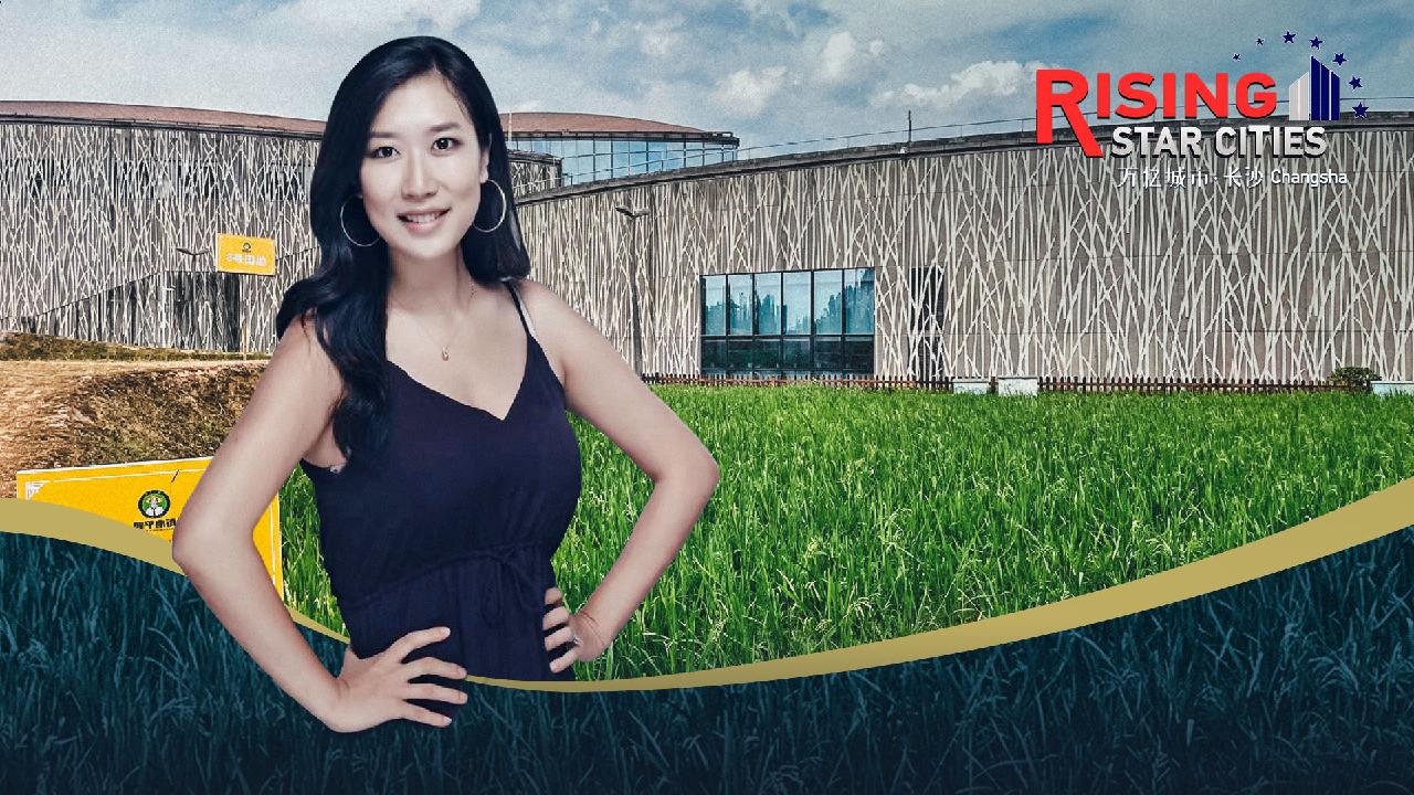 Live: Learn about the hybrid rice that helped ease hunger in China - CGTN