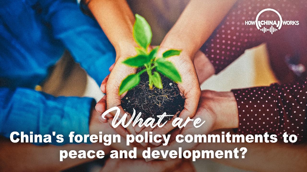 What are China's foreign policy commitments to peace and development ...