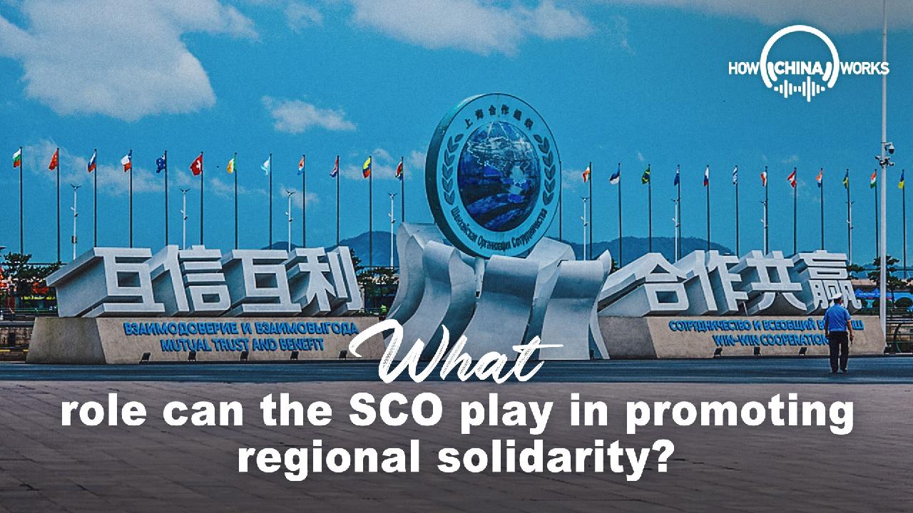 What role can the SCO play in promoting regional solidarity? - CGTN