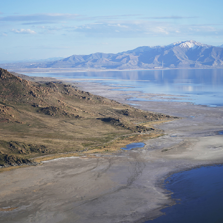 The shrinking Great Salt Lake threatens wildlife - CGTN