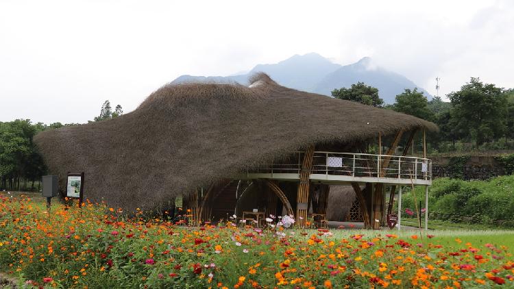 Farmstays help small Chinese village embrace the green economy - CGTN