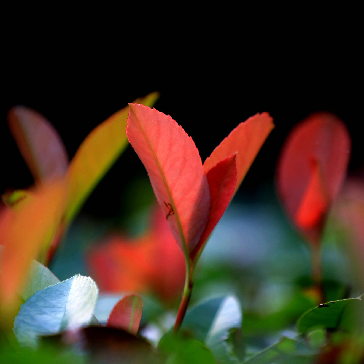 Enjoy fascinating sceneries across China as autumn begins - CGTN