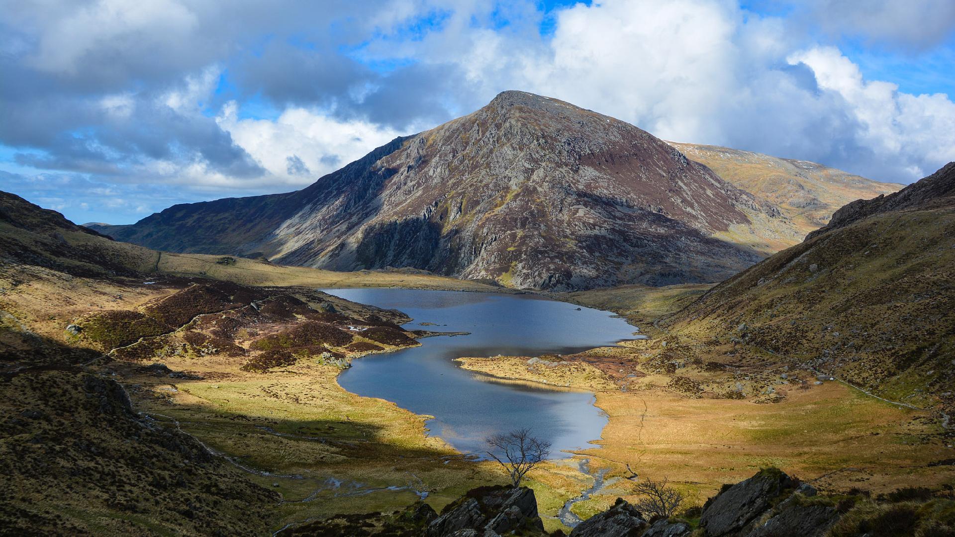 Fragmented nature imperils wildlife as climate warms - CGTN
