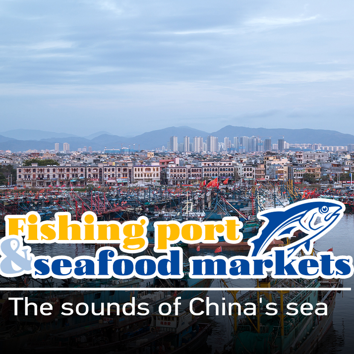 Fishing port and seafood markets: The sounds of China's sea - CGTN