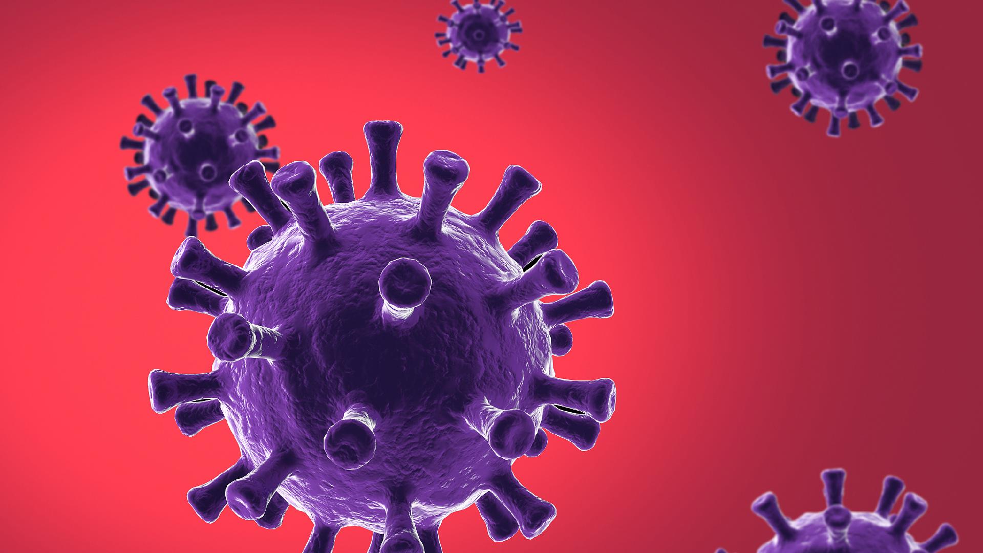 U.S. COVID origins intelligence review is a failure: reports - CGTN