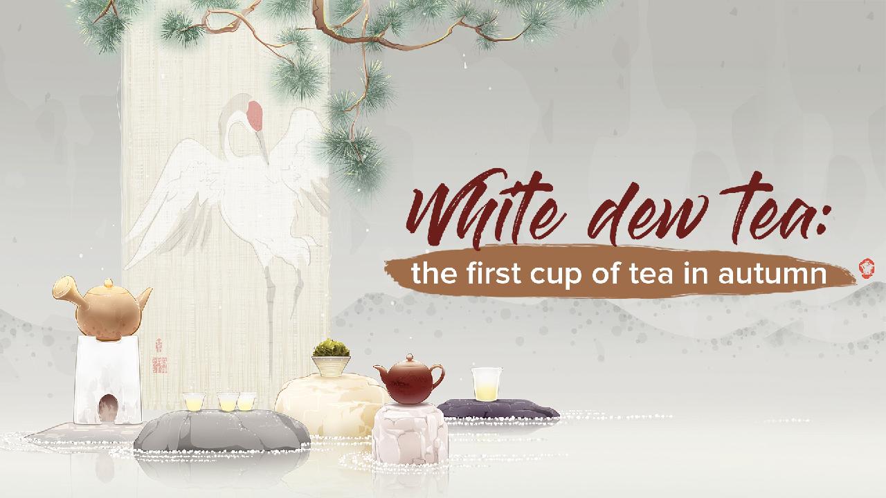 White dew tea: the first cup of tea in autumn - CGTN
