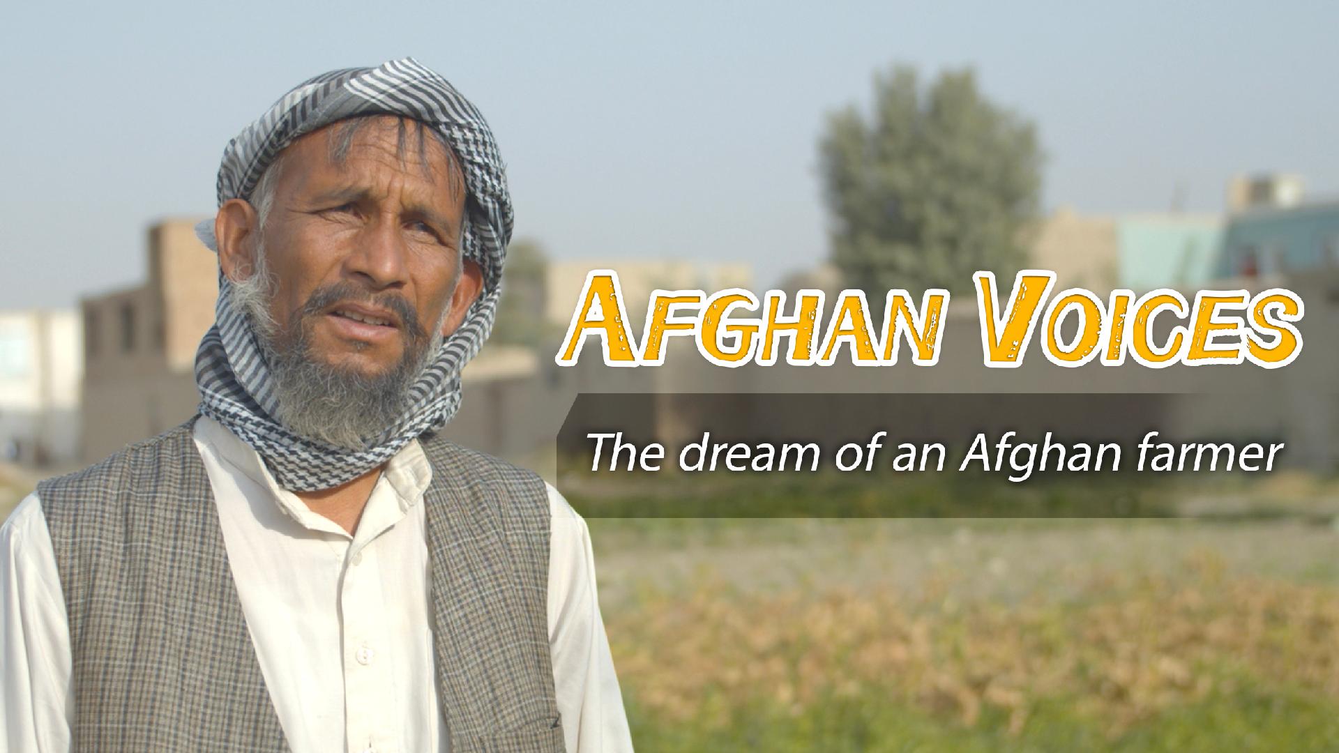 Afghan Voices: The dream of an Afghan farmer - CGTN