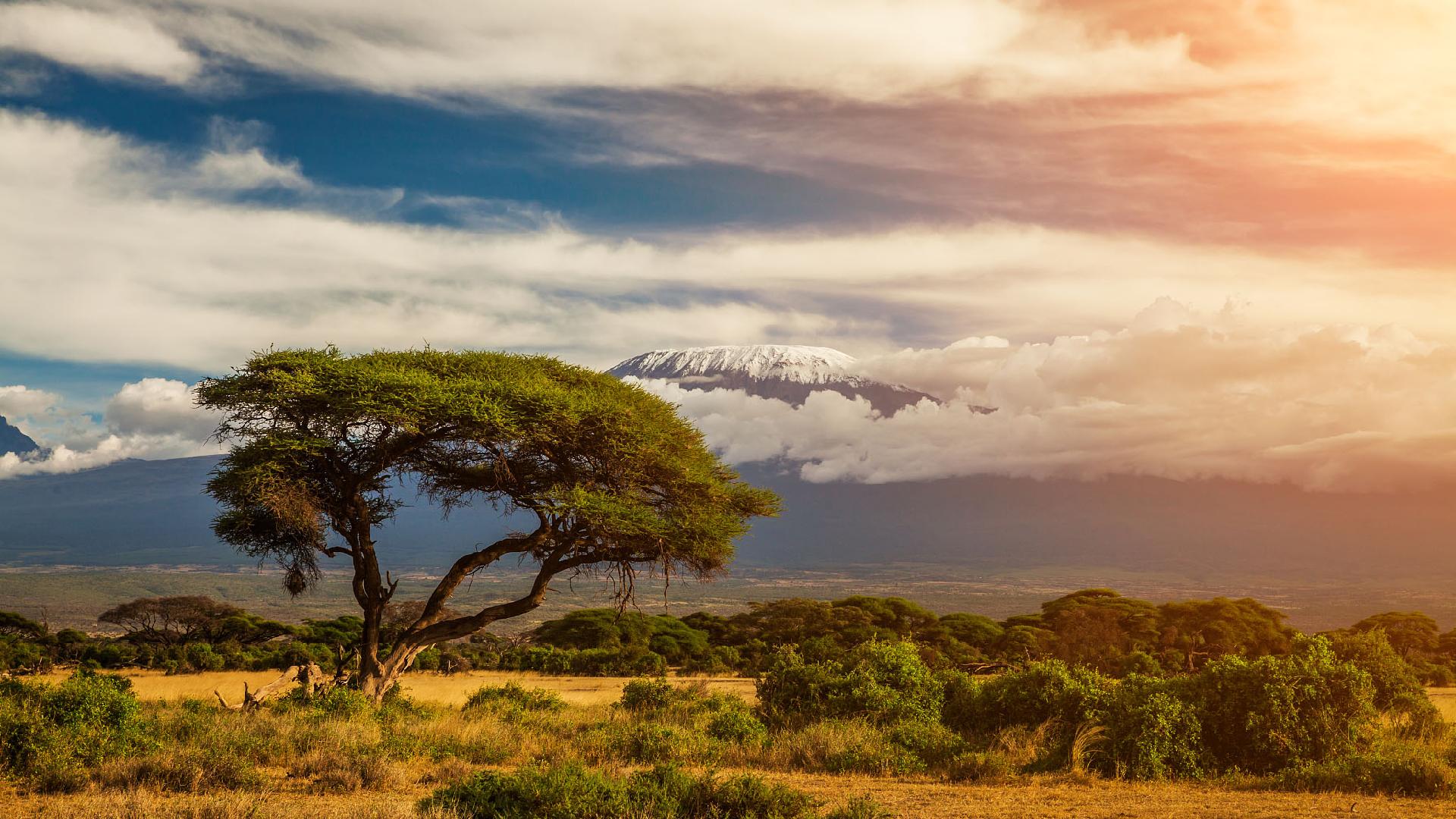 African environment ministers renew support for green recovery - CGTN