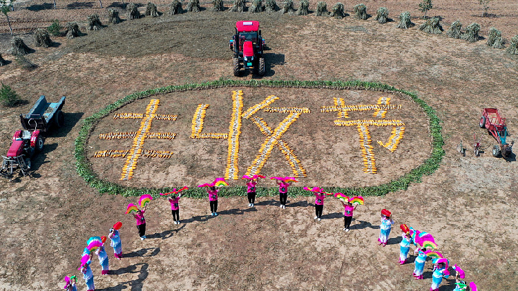 People celebrate the 4th Chinese farmers' festival across the country ...
