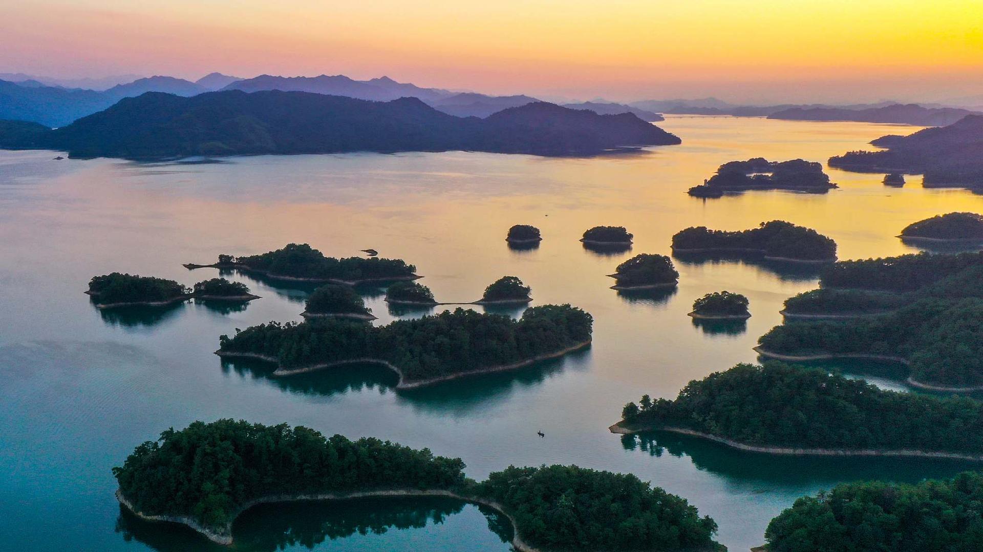 White paper: China's eco-environment sees historic changes - CGTN