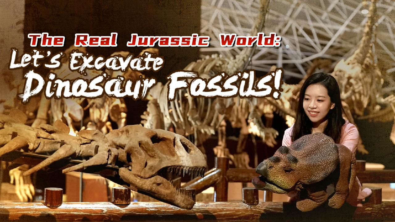 Live: The real Jurassic World - let's excavate dinosaur fossils! - CGTN
