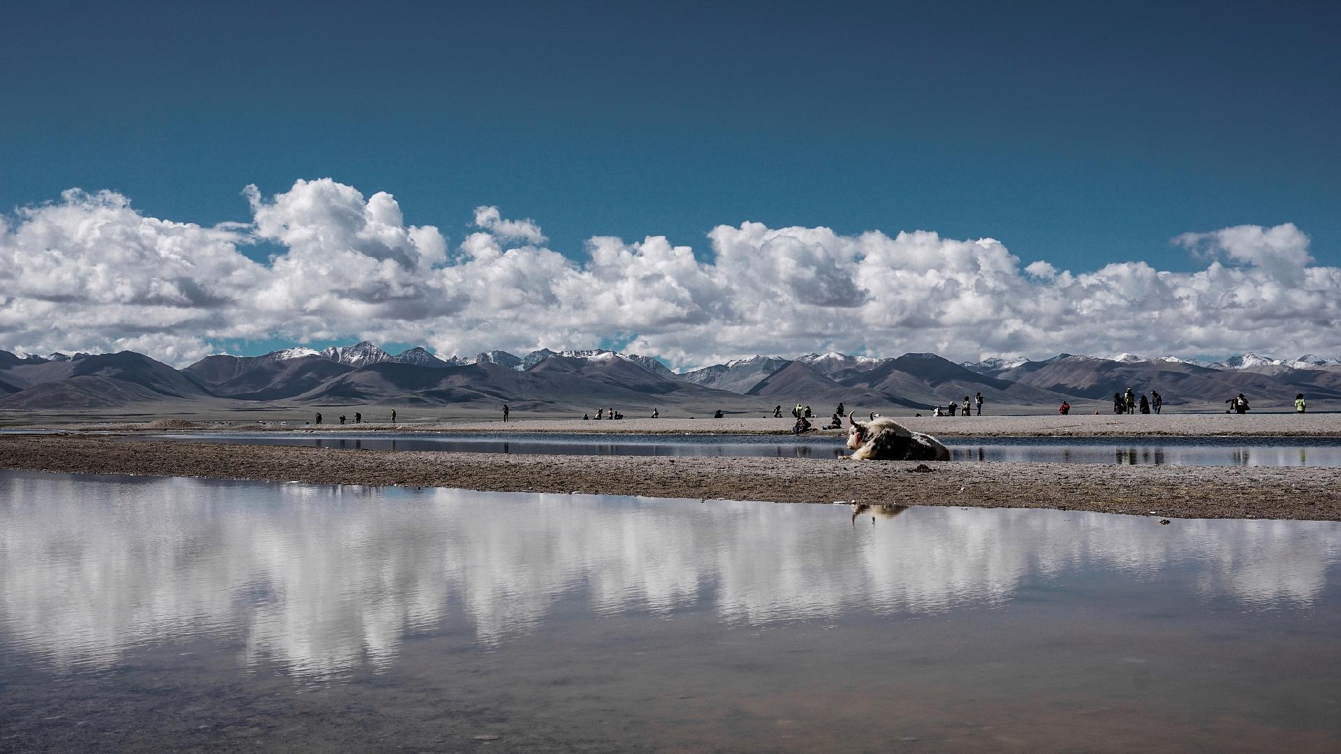 Scientists on the way to explore more on the plateau - CGTN