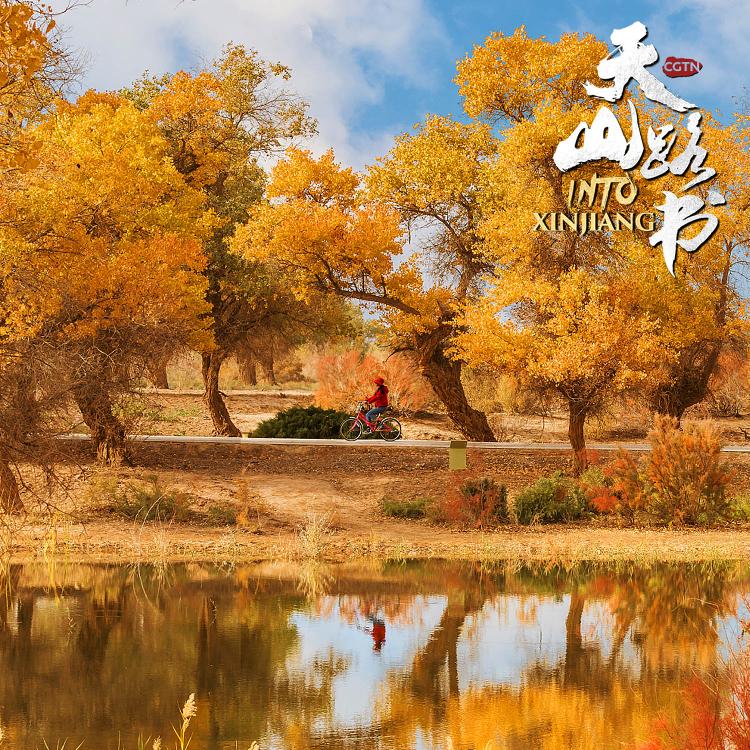 Drone Diary: The beautiful autumn colors deep in the desert - CGTN