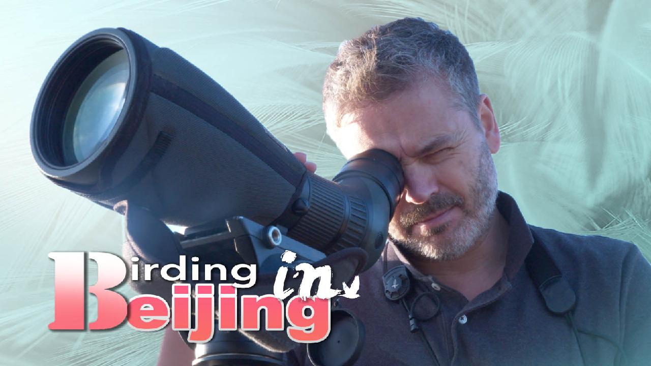 Nature's Observer: Birding in Beijing - CGTN