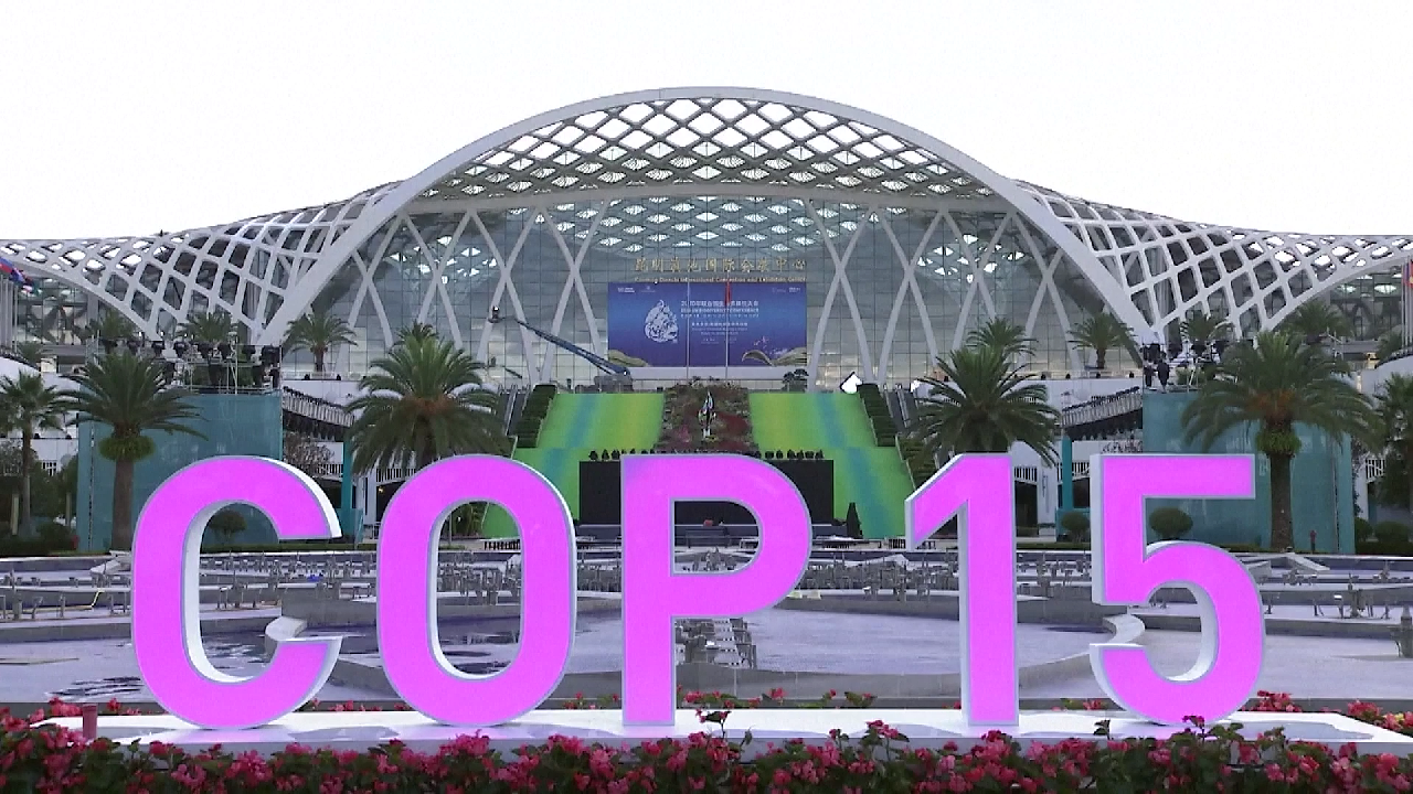 Full text: Xi Jinping's remarks at the COP15 Leaders' Summit - CGTN