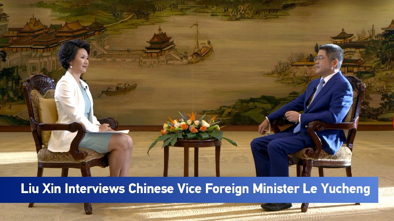 Chinese Vice FM Le Yucheng's Exclusive Interview with Liu Xin - CGTN
