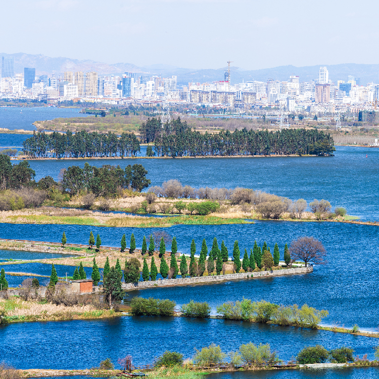 Live: Enjoy the charming view of Haihong Wetland Park in Kunming City ...