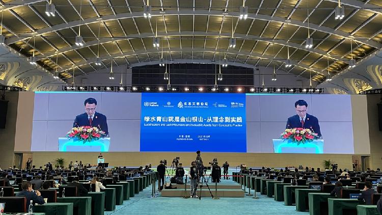 Chinese experience helps the world in ecological protection - CGTN