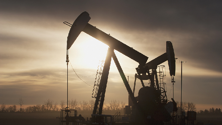 High oil prices can help the environment - CGTN