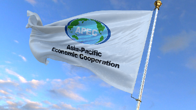 APEC launches Putrajaya Vision 2040 implementation plan - CGTN