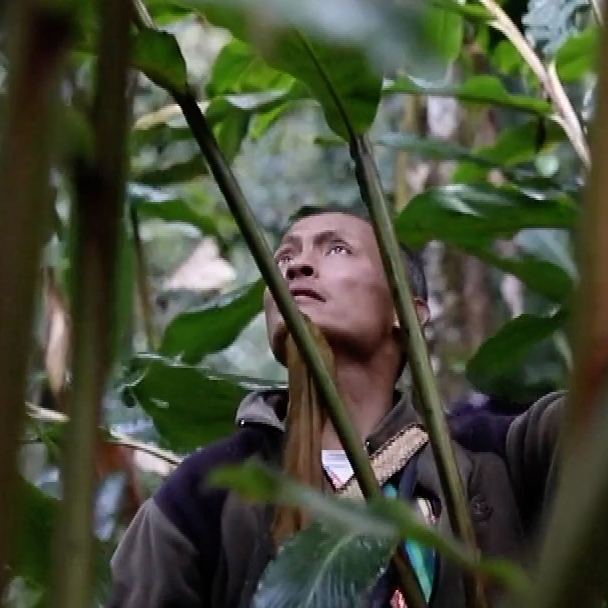 Dulong people in China's Yunnan thrive through ecological protection - CGTN