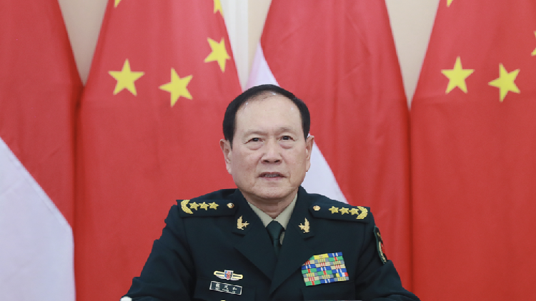 Chinese, Indonesian defense ministers agree to promote military ties - CGTN
