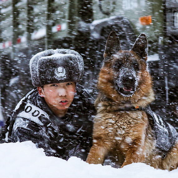 Live: Visiting the training base of police dogs in Xinjiang - CGTN