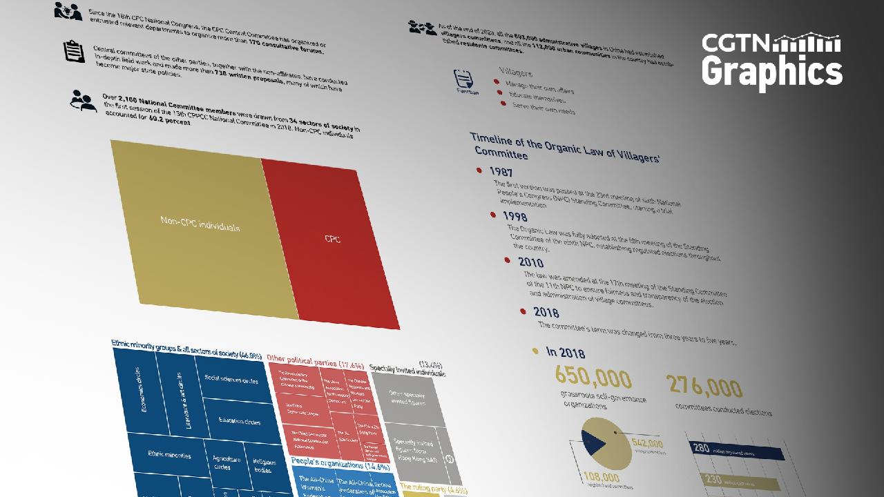 How China's democracy succeeds - CGTN