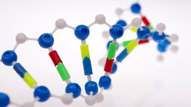 Chinese scientists develop precise gene-editing delivery tool - CGTN