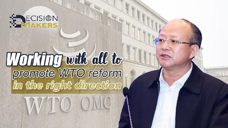 Working with all to promote WTO reform in the right direction - CGTN