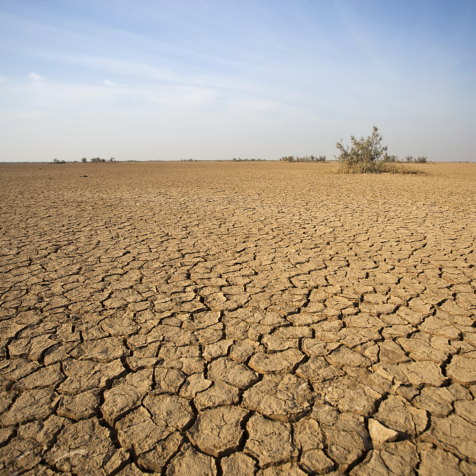 Severe drought affects over 3.5 million people in Somalia - CGTN
