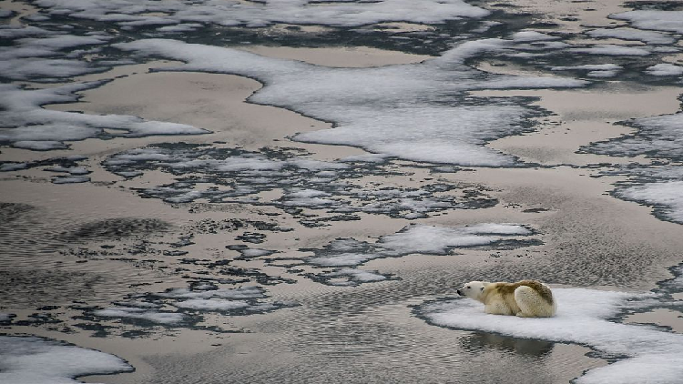 UN validates 38C Arctic heat from 2020 as record high - CGTN