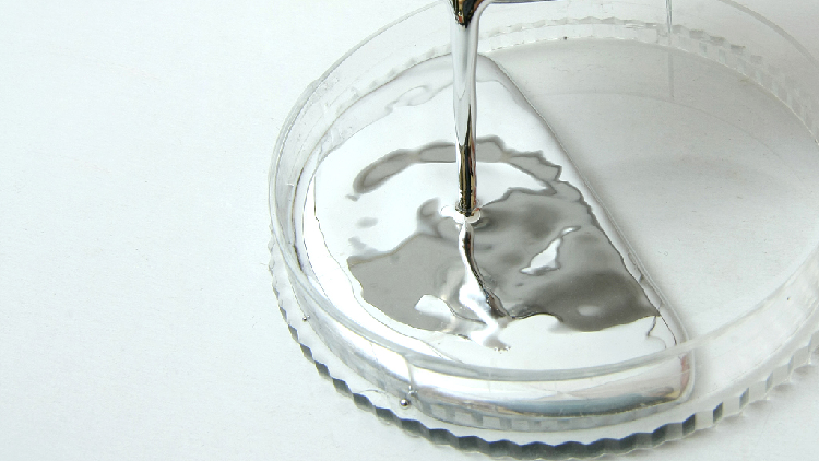 Mercury pollutant reaches deepest parts of ocean: study - CGTN