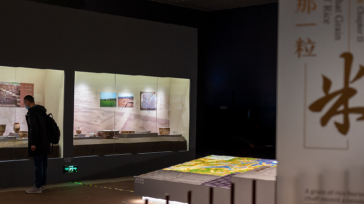 Live: Exhibition showcases early rice farming in China - CGTN