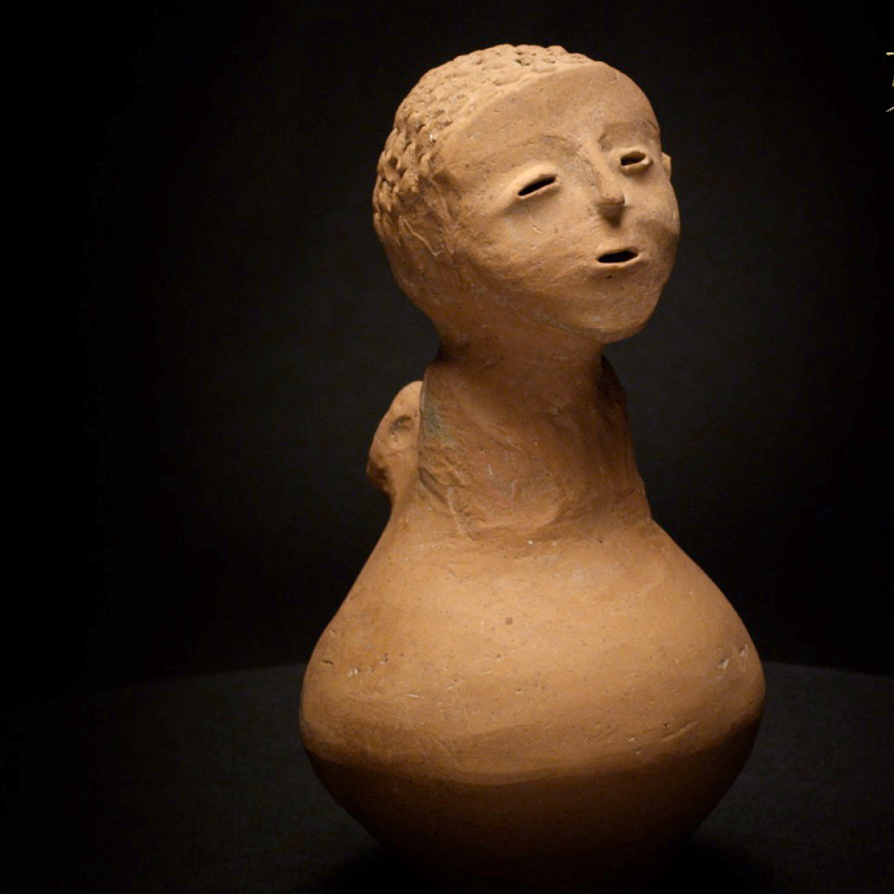 The Earliest Stargazer? - CGTN