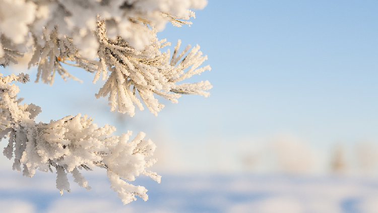 Cold wave brings ethereal snow sceneries in east China - CGTN