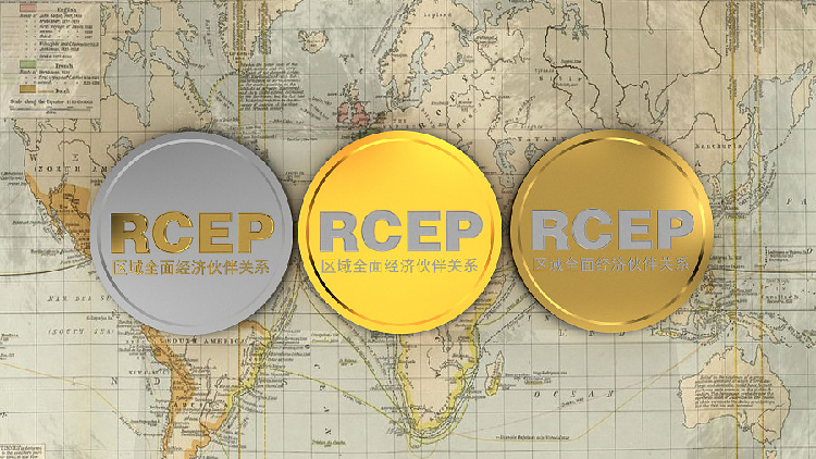 RCEP and China: Decoding the power of free trade - CGTN