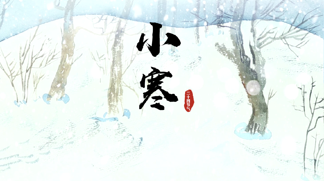 24 solar terms in nature: Minor Cold - CGTN