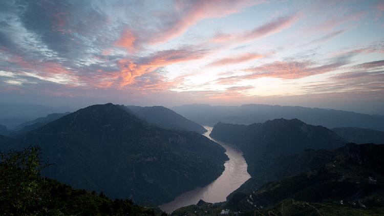 Rare species resurgent in Yangtze River after fishing ban - CGTN