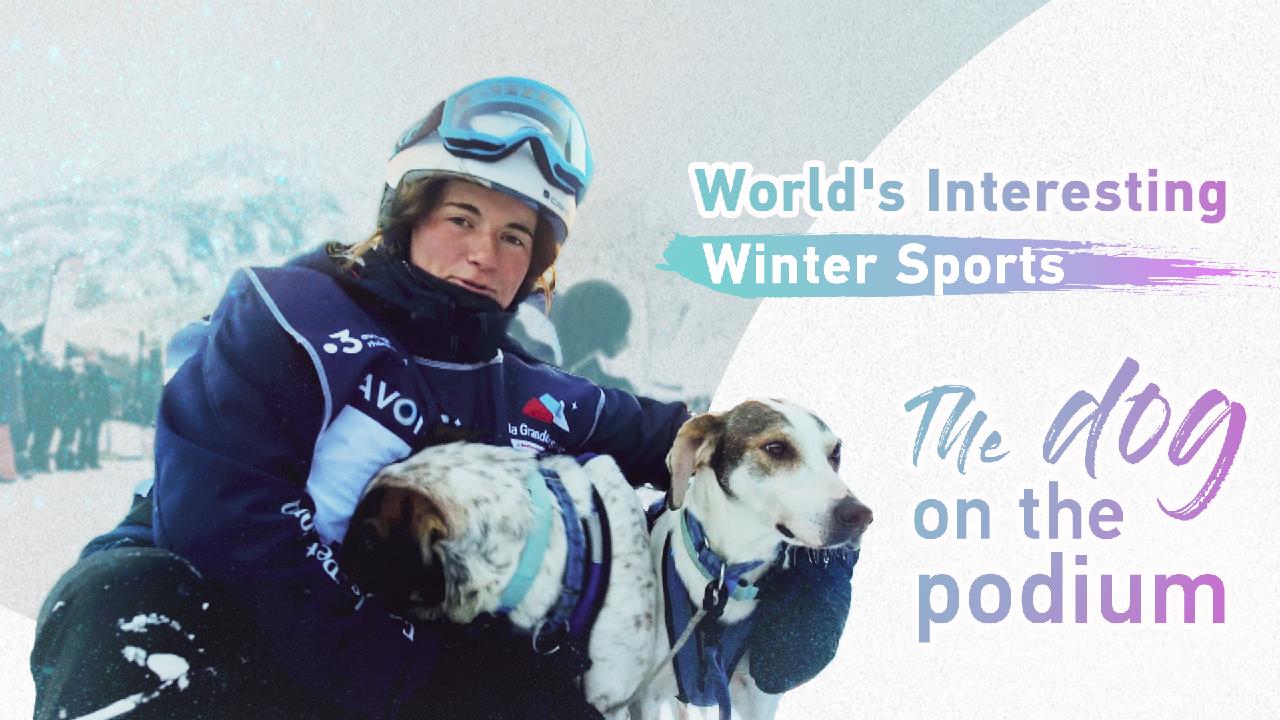 World's Interesting Winter Sports: The dog on the podium - CGTN