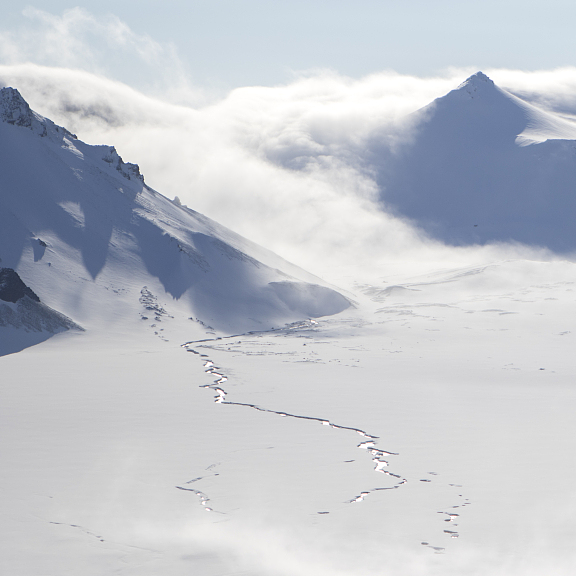 Glacier retreat accelerates global chemical weathering - CGTN