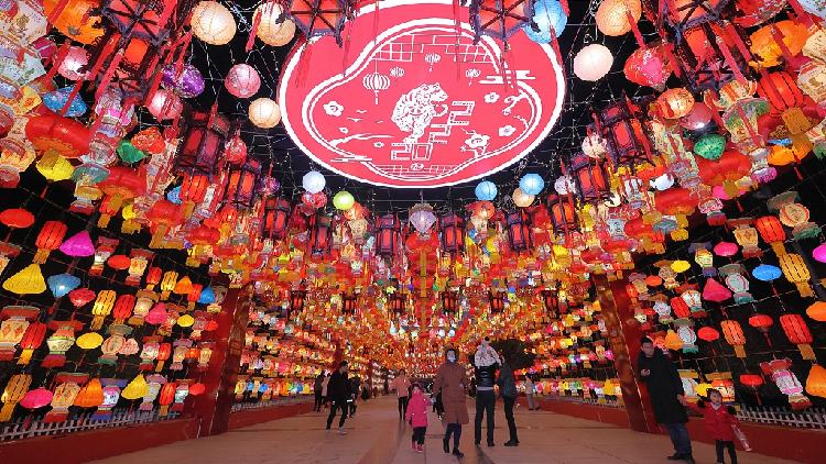 Chinese New Year is a sign of rising multipolarity and common humanity ...