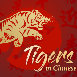 More About Tiger: Tigers in Chinese culture - CGTN