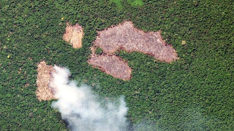Fires in Colombia's Amazon spark alarm over deforestation - CGTN