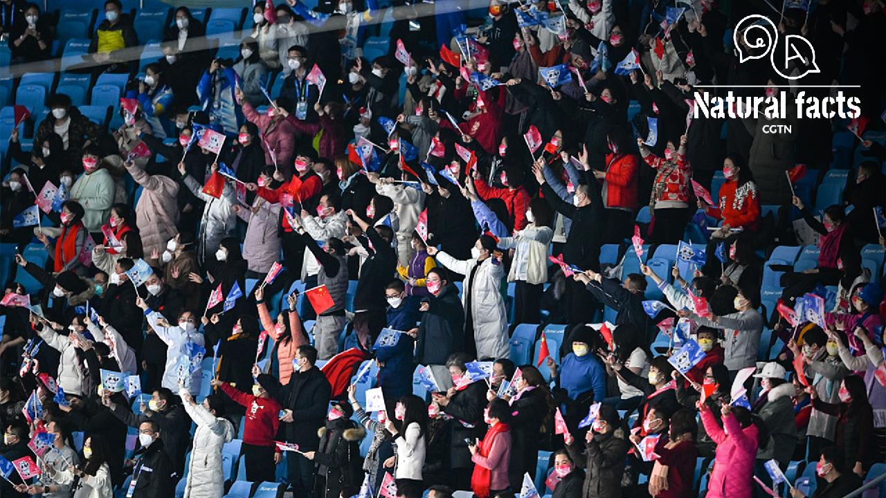 Natural Facts – Q&A: Can applause impact winter sports competitions? - CGTN