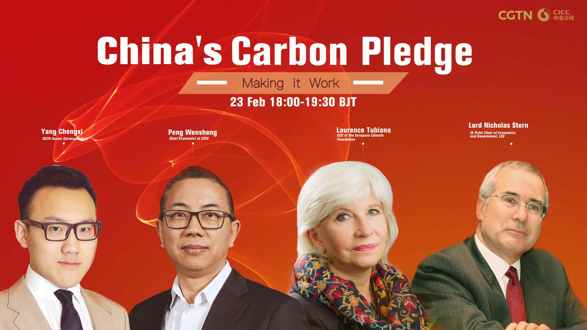 Live: China's carbon pledge – making it work - CGTN